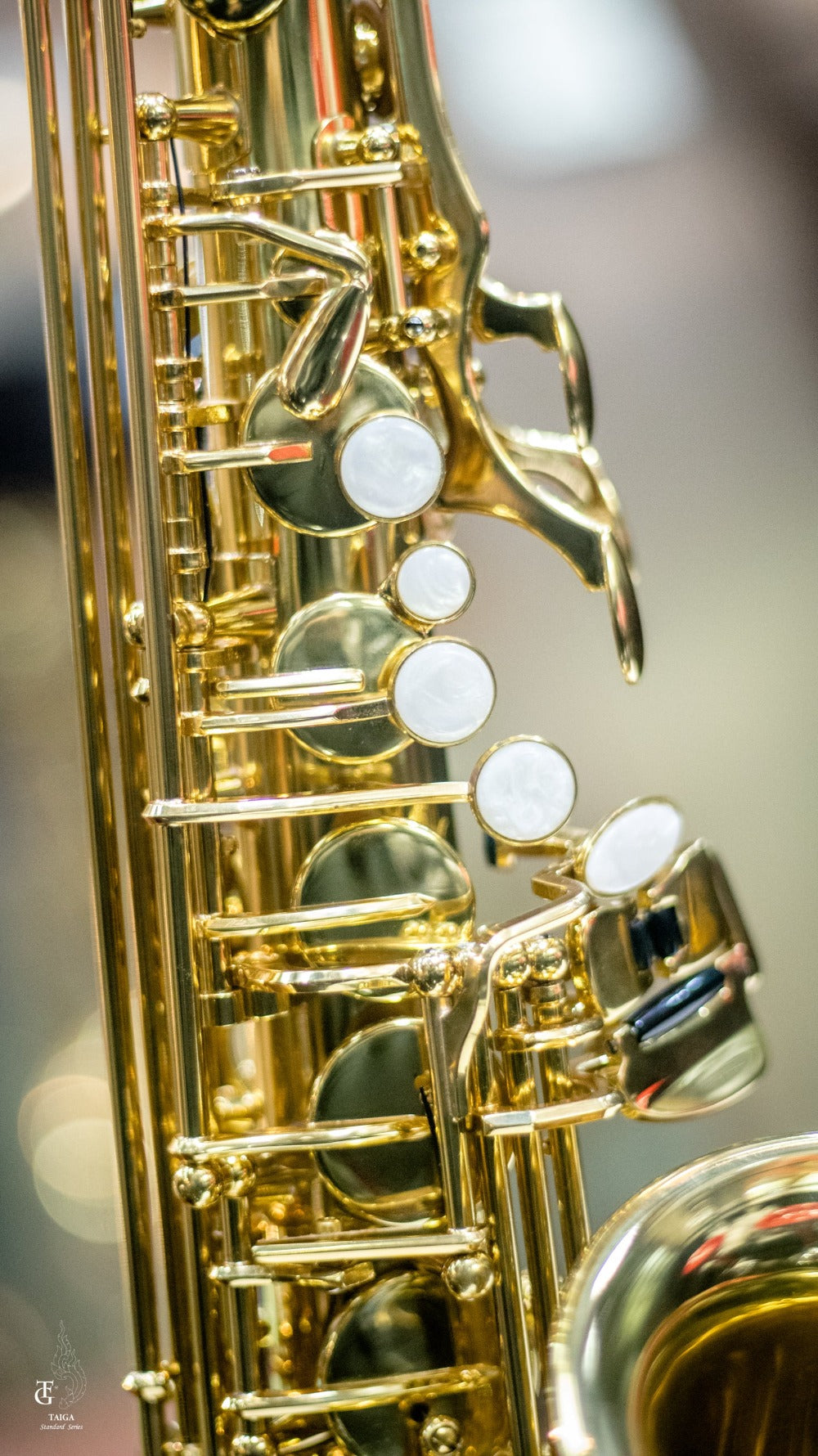 Taiga Alto Saxophone TAS-T1 Gold Lacquer – Saxophonesiam