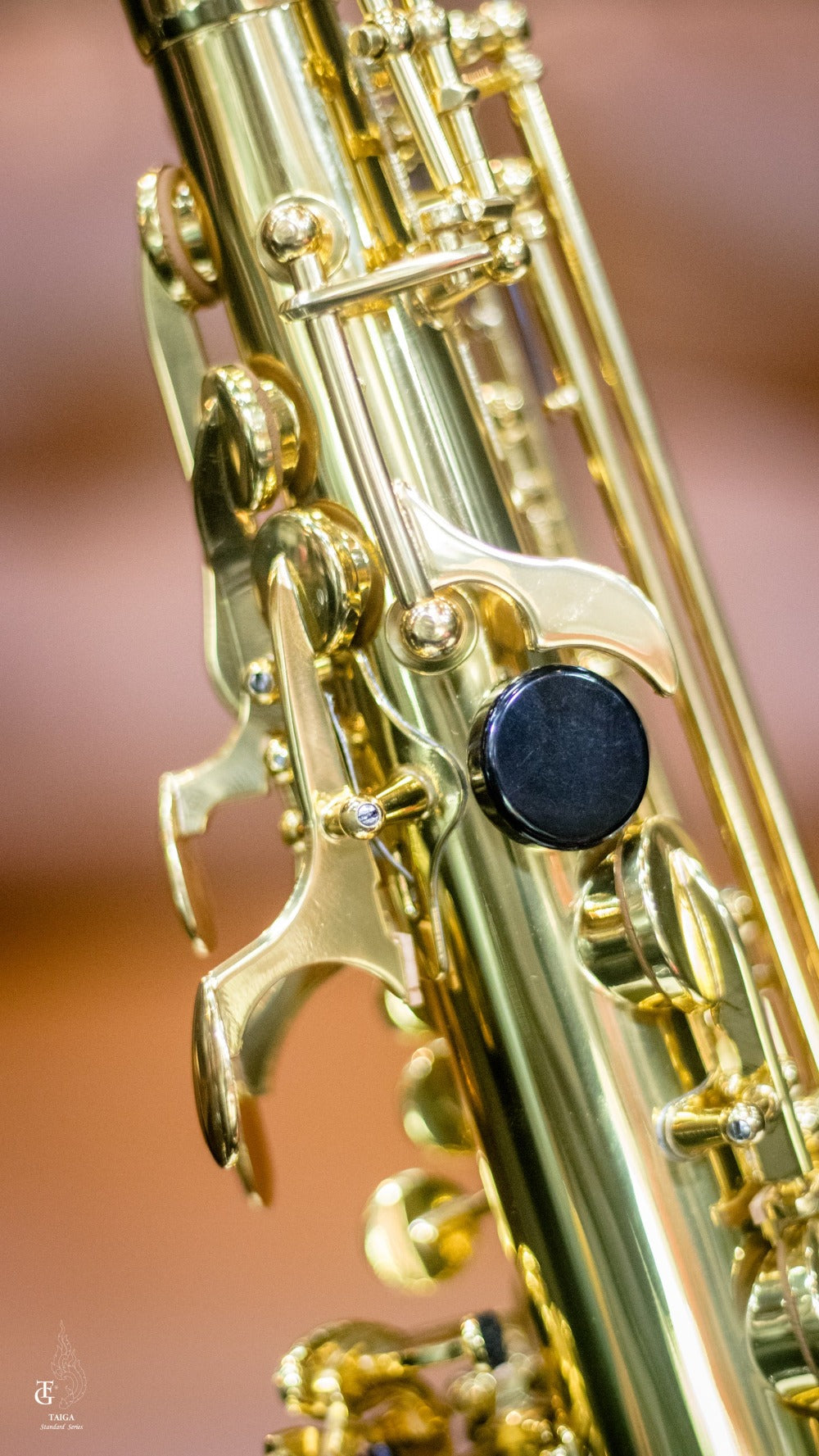 Taiga Alto Saxophone TAS-T1 Gold Lacquer – Saxophonesiam