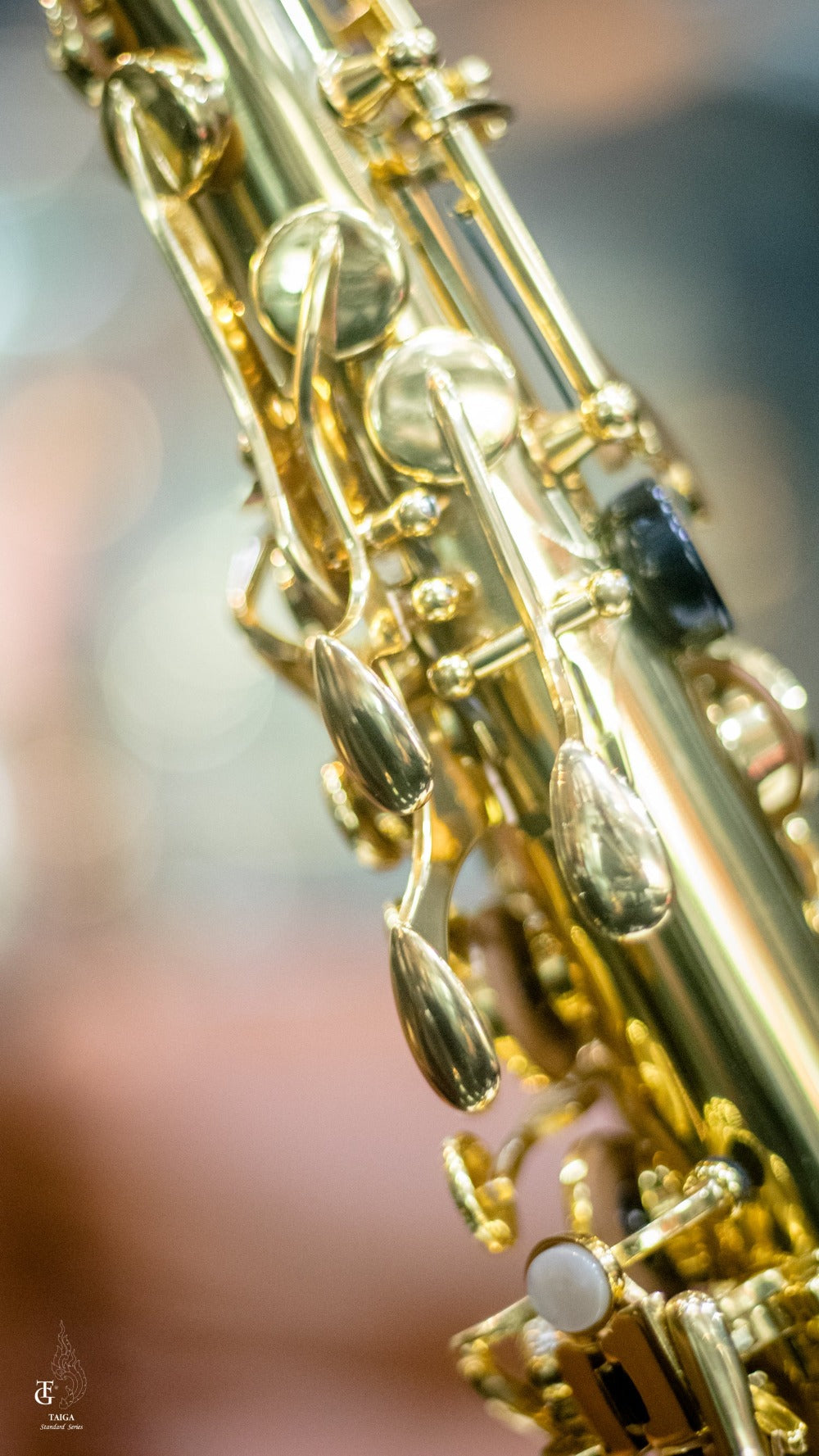 Taiga Alto Saxophone TAS-T1 Gold Lacquer – Saxophonesiam