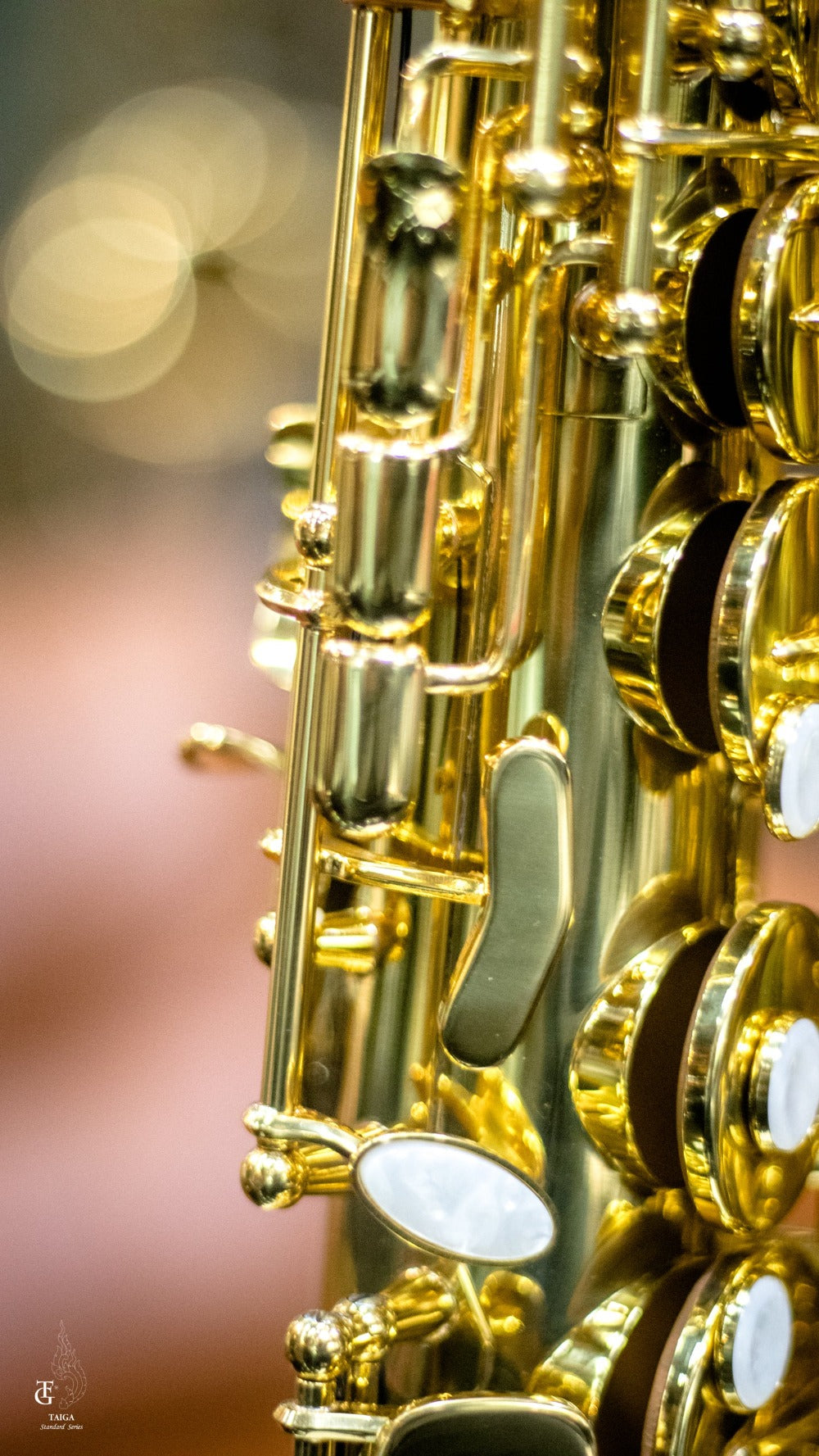 Taiga Alto Saxophone TAS-T1 Gold Lacquer – Saxophonesiam