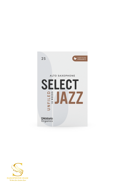 ORGANIC SELECT JAZZ UNFILED ALTO SAXOPHONE REEDS (10 PCH) – Saxophonesiam