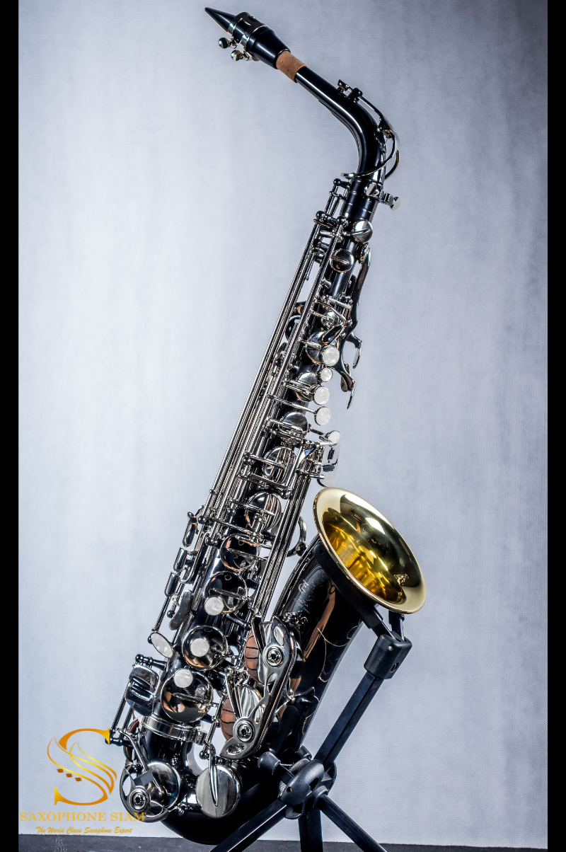 Taiga Alto Saxophone TAS-T1 Black Lacquer – Saxophonesiam