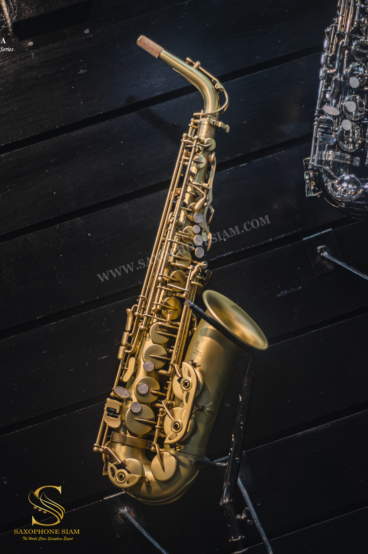 Taiga Alto Saxophone TAS-T1 Clear Lacquer (OC) – Saxophonesiam