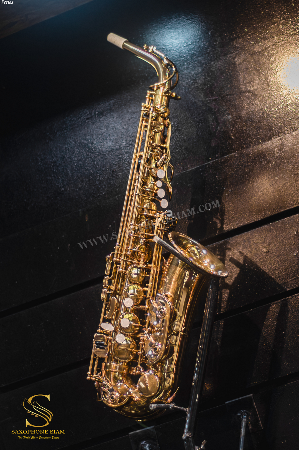 Taiga Alto Saxophone TAS-T1 Dark Copper (DG) – Saxophonesiam