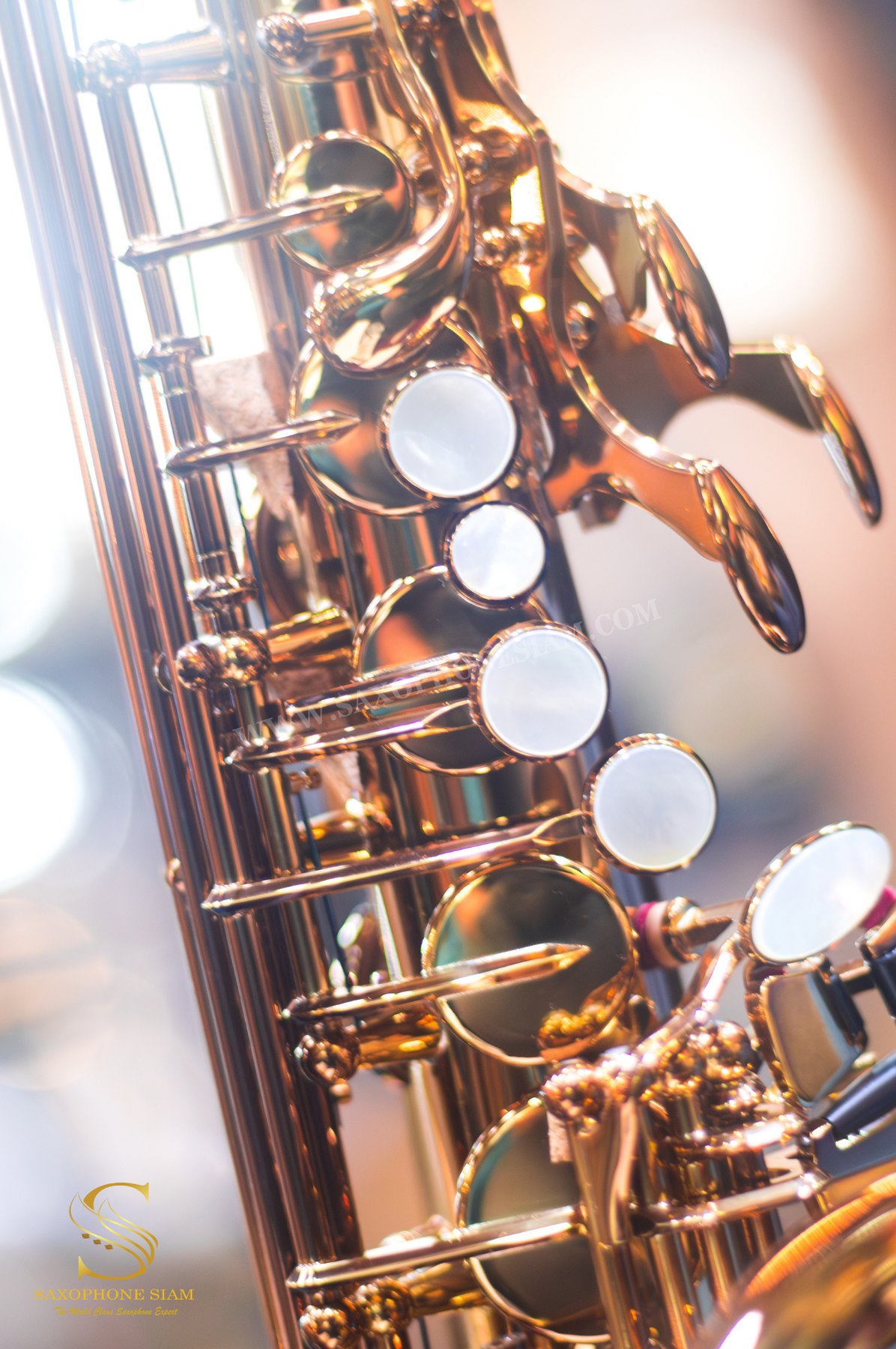 YAMAHA ALTO SAXOPHONE YAS-82ZA (AMBER) – Saxophonesiam