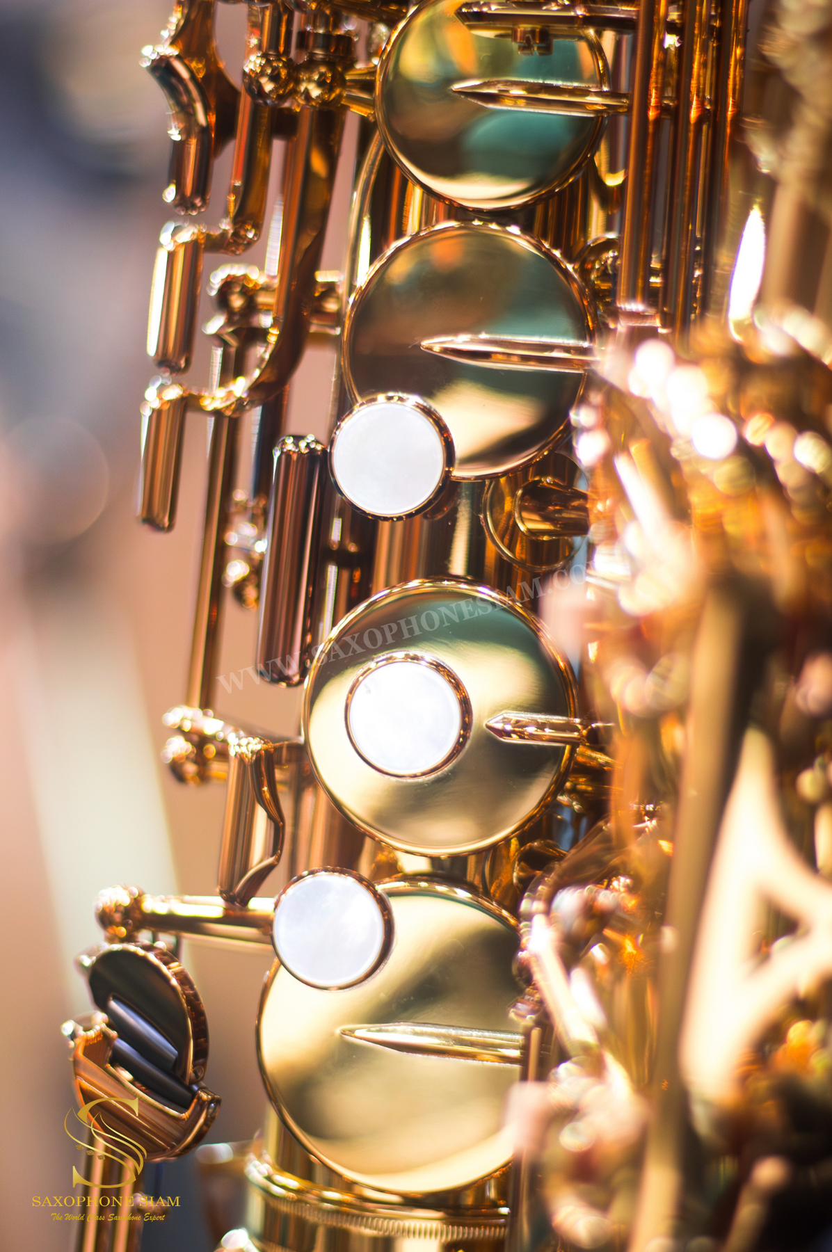 YAMAHA ALTO SAXOPHONE YAS-82ZA (AMBER) – Saxophonesiam