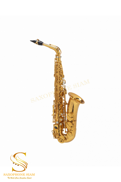 HENRI SELMER PARIS SUPREME ALTO SAXOPHONE GOLD PLATED – Saxophonesiam