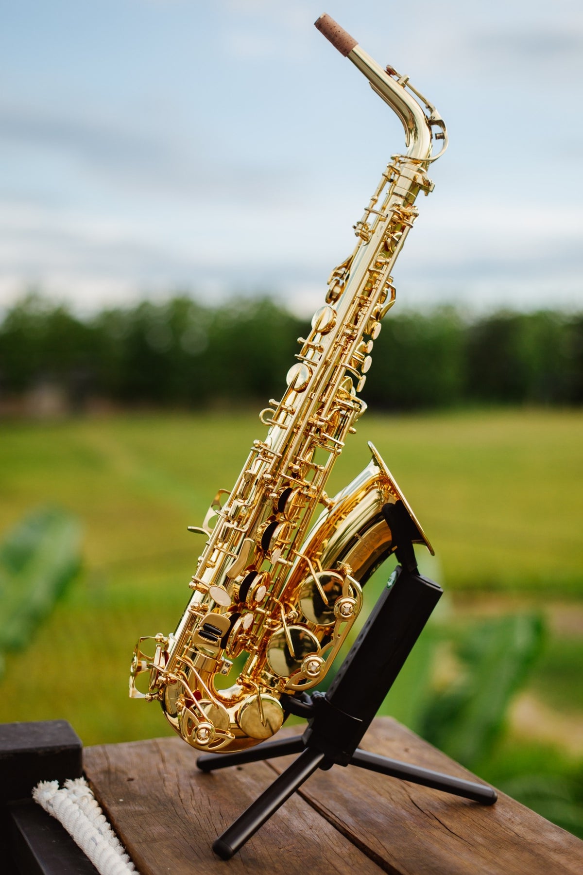 Marienthal Alto Saxophone MAS-91 GL – Saxophonesiam