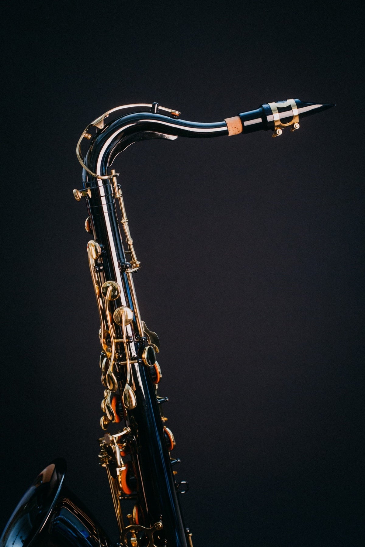Marienthal Tenor Saxophone MTS-91 BL – Saxophonesiam