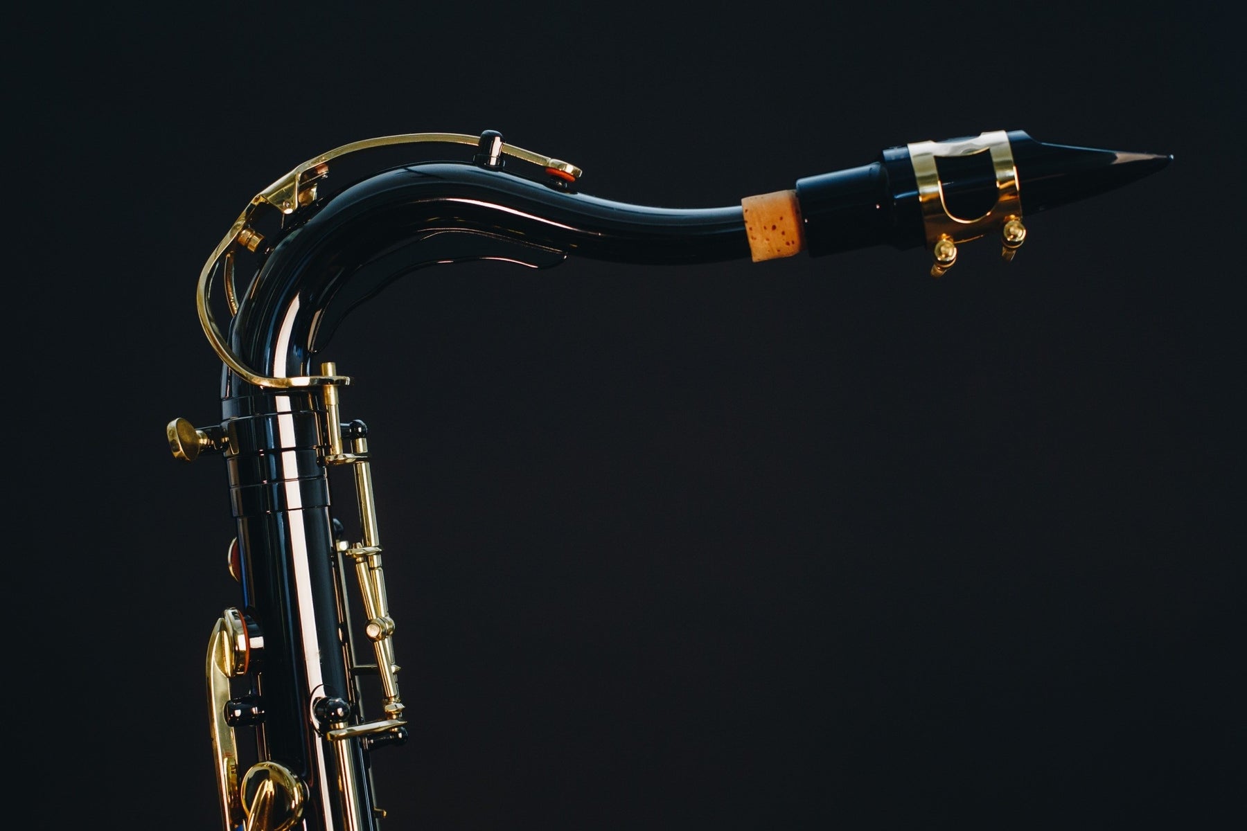 Marienthal Tenor Saxophone MTS-91 BL – Saxophonesiam