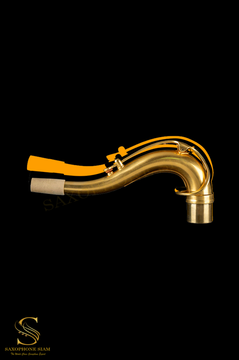 Rampone & Cazzani R1 Jazz Vintage Gold Plated Tenor neck with bag TSNJ ...