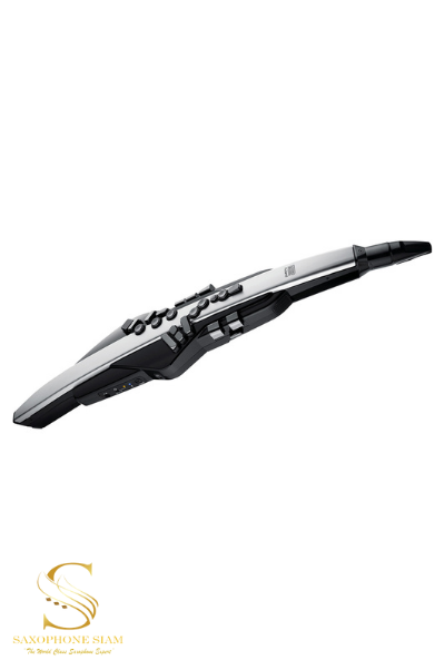 Roland AE-30 Aerophone Pro Digital Wind Instrument – Saxophonesiam