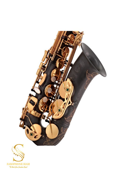 THEO WANNE NARAYAN ALTO SAX - VINTIFIED – Saxophonesiam